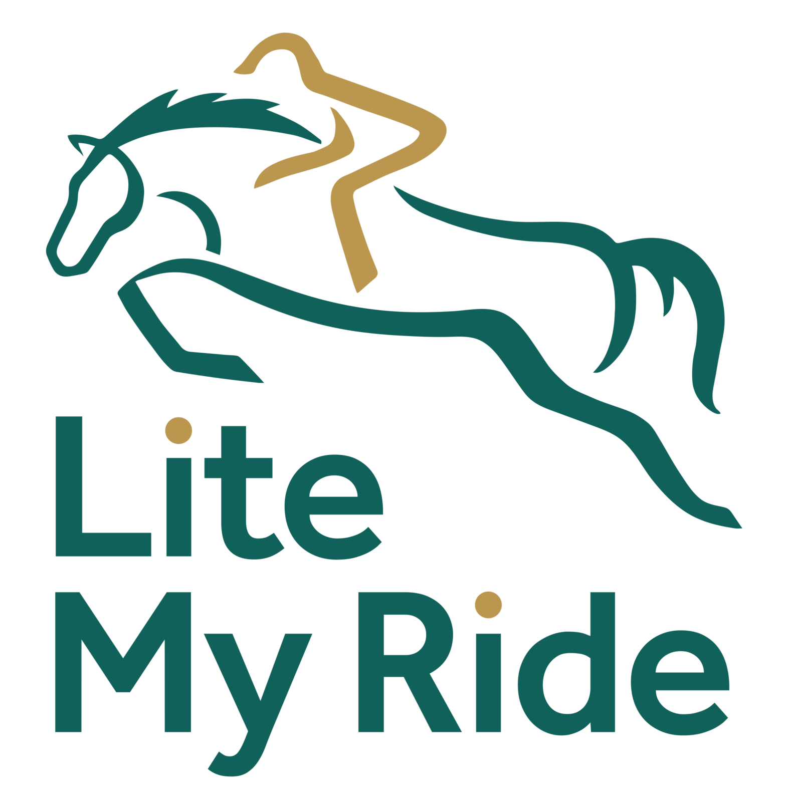 LITE MY RIDE - National Equine Show