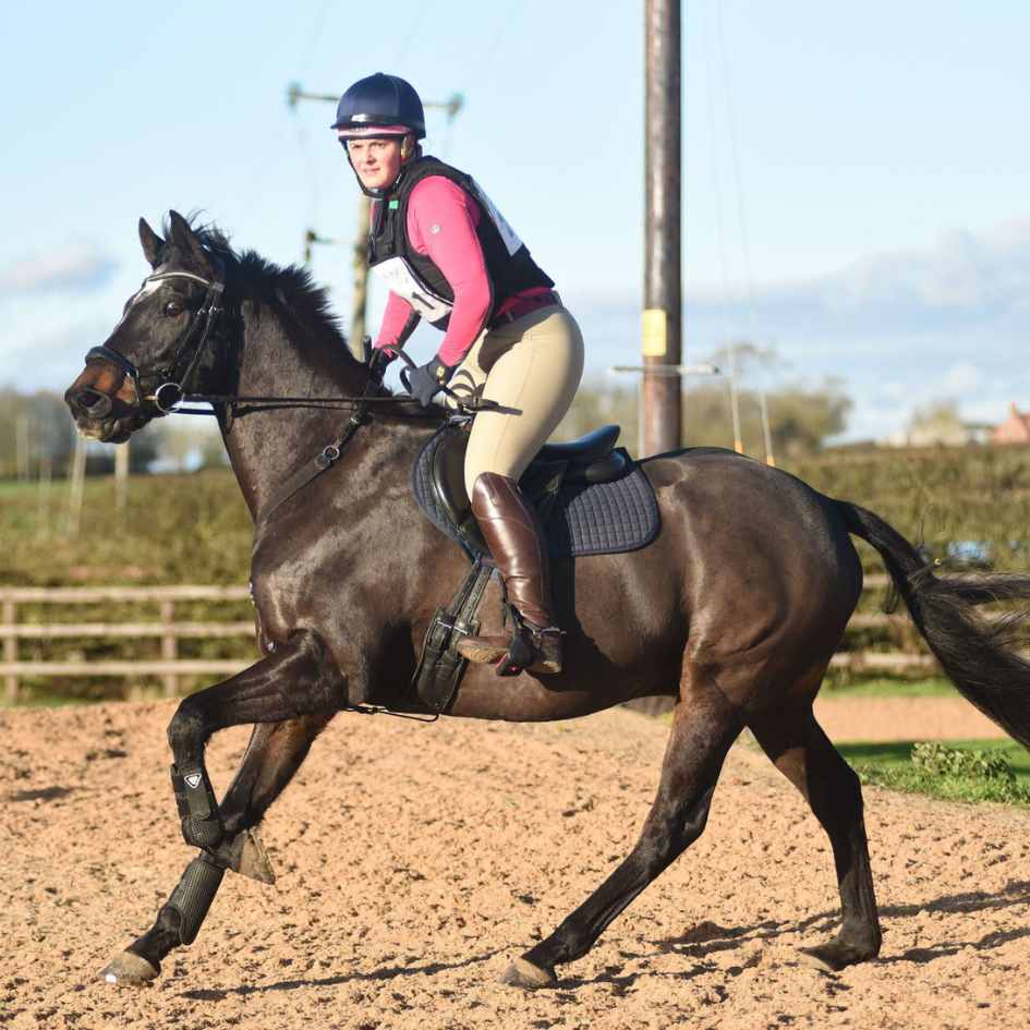 Agenda - National Equine Show
