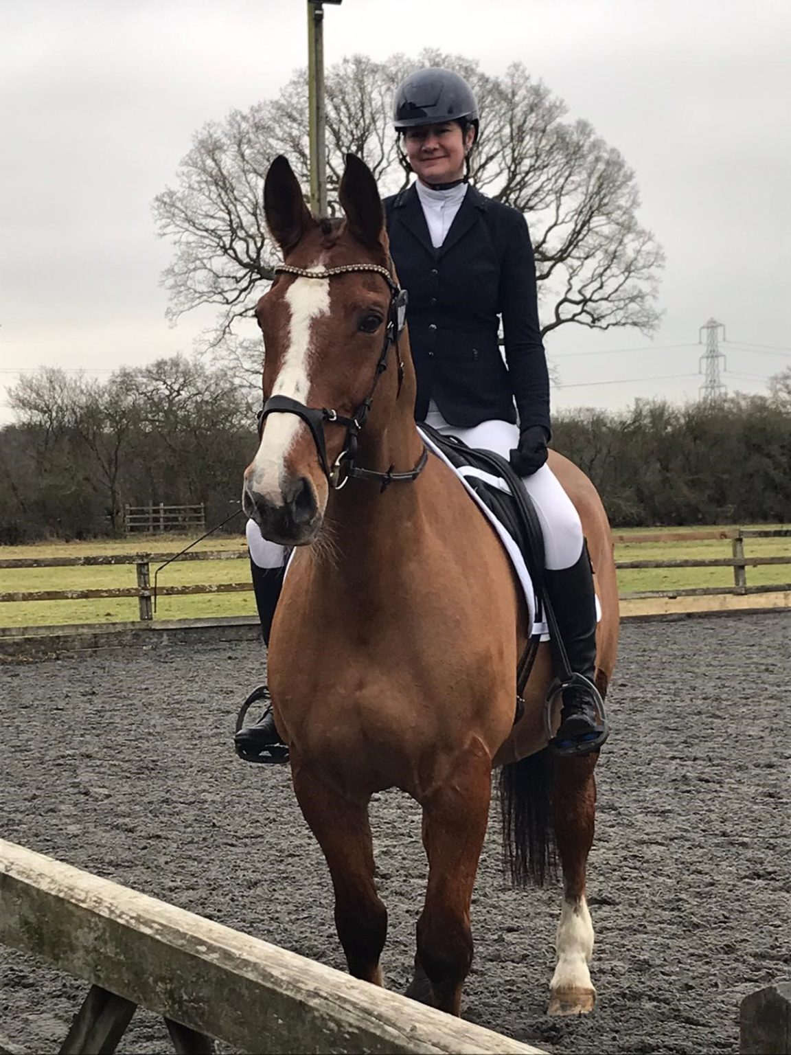 Ambassadors - National Equine Show