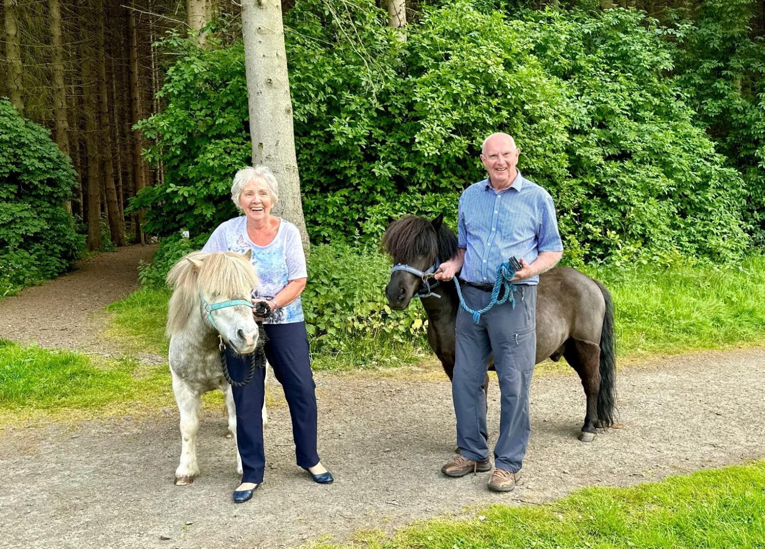 Meet the Therapy Ponies with Lunar eclipse EFL therapy horses cic - National Equine Show