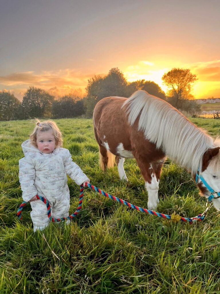 Meet the Therapy Ponies with Lunar eclipse EFL therapy horses cic ...