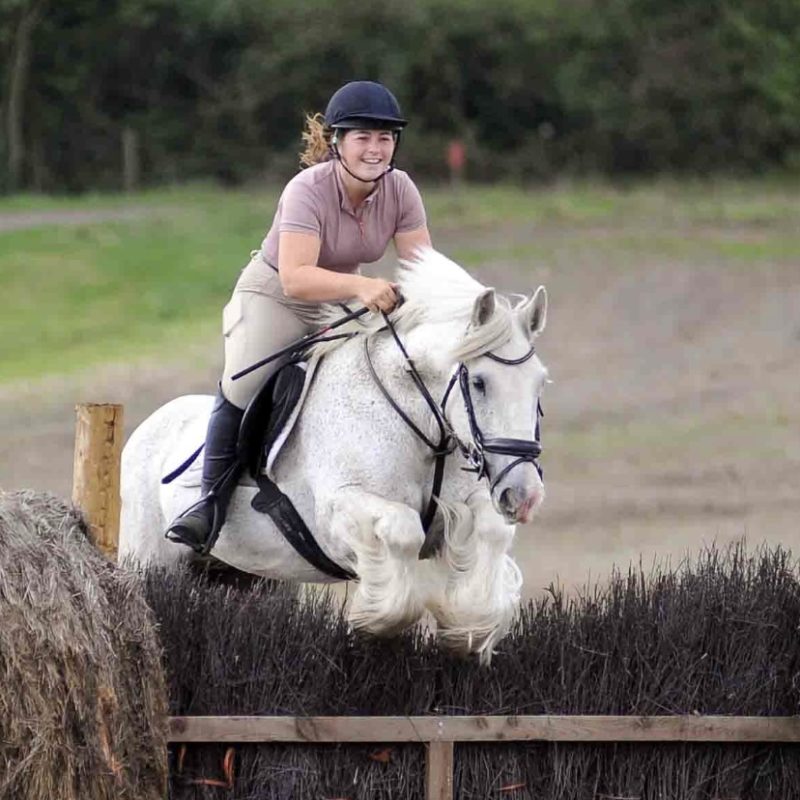 Ambassadors - National Equine Show