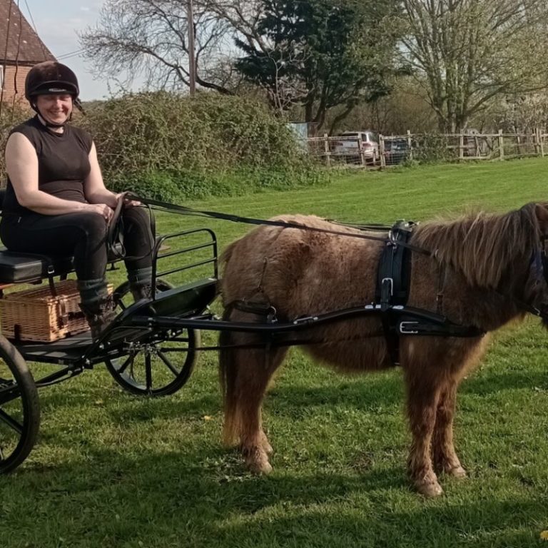Cat Goodwin - National Equine Show