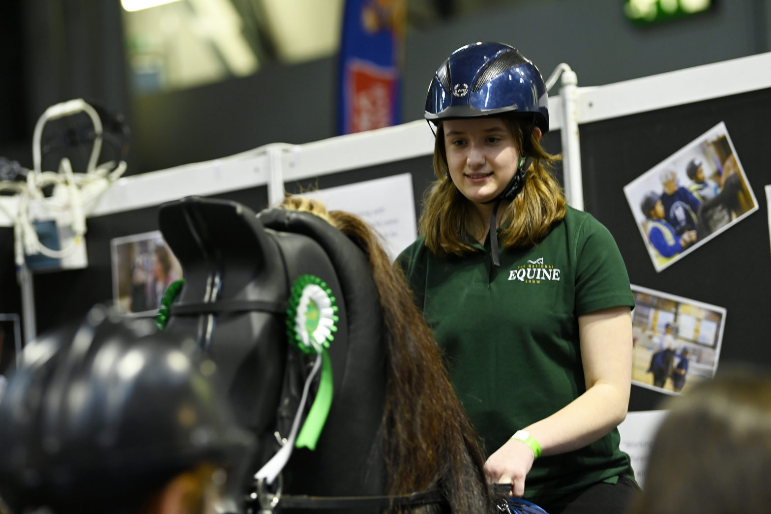 Gallery - National Equine Show