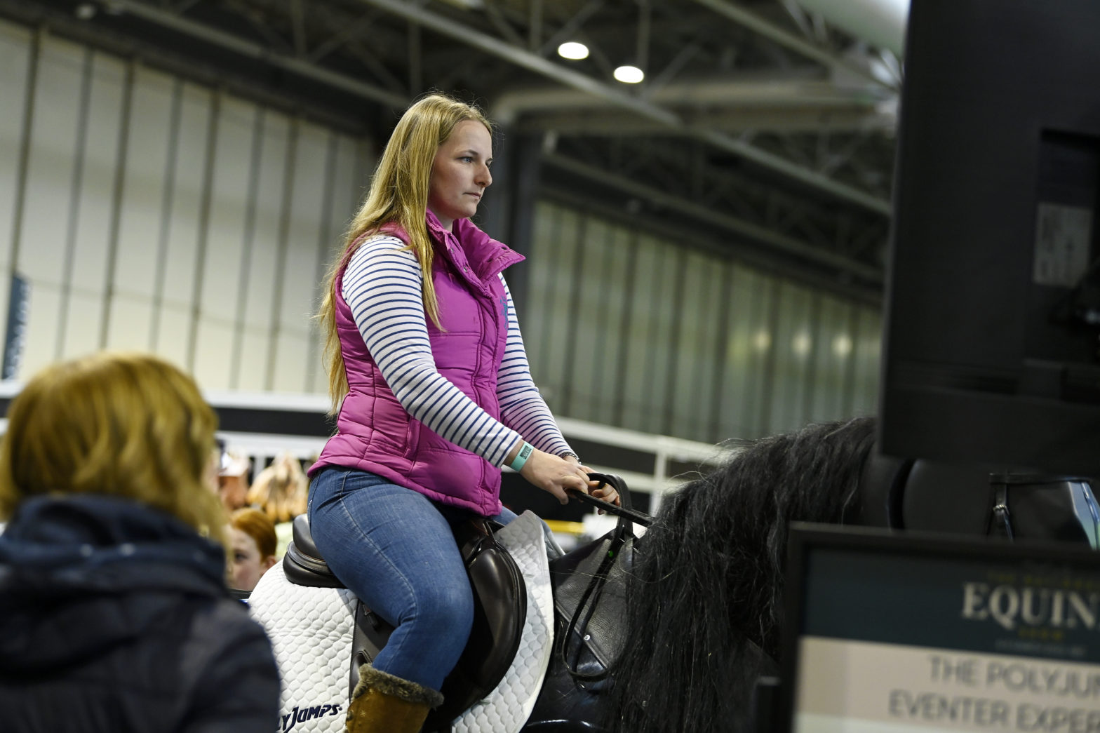 Gallery - National Equine Show