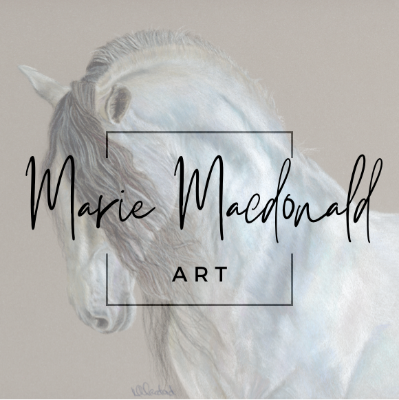 Marie Macdonald Art - National Equine Show
