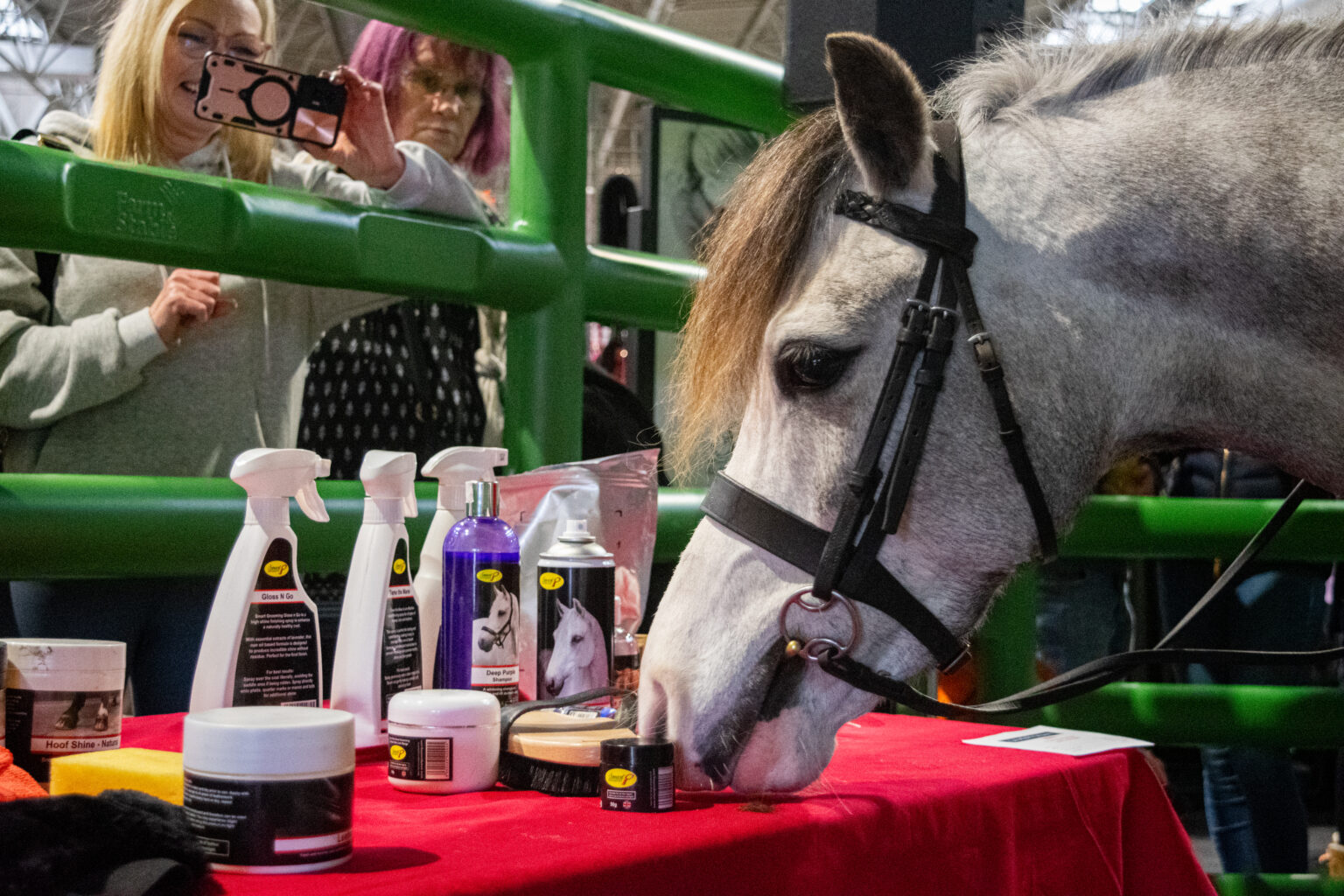 Turnout Showcase with Smart Grooming - National Equine Show