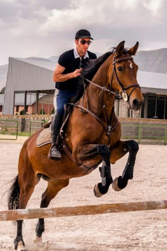 Features - National Equine Show