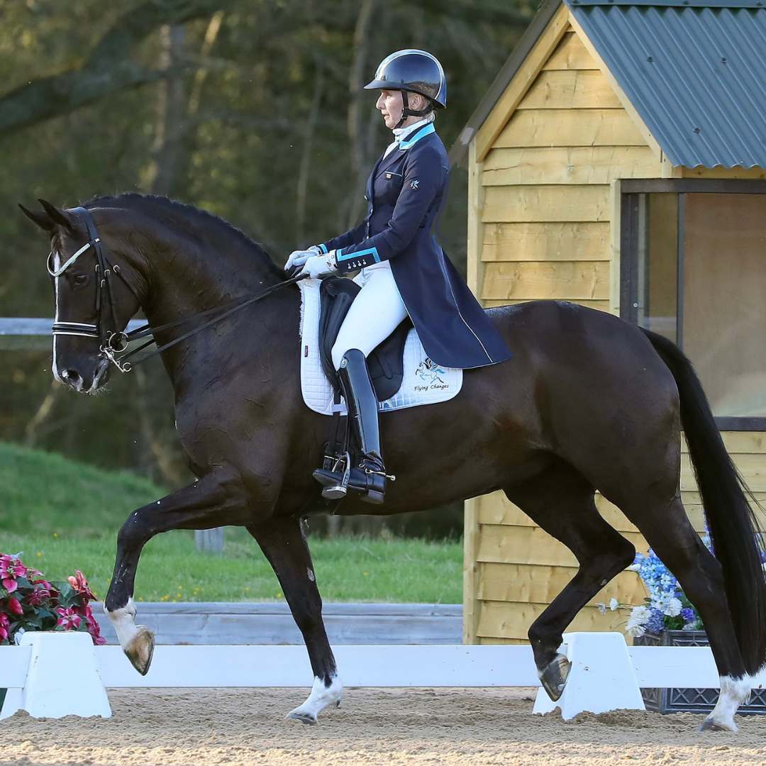 Sarah Cheetham - National Equine Show
