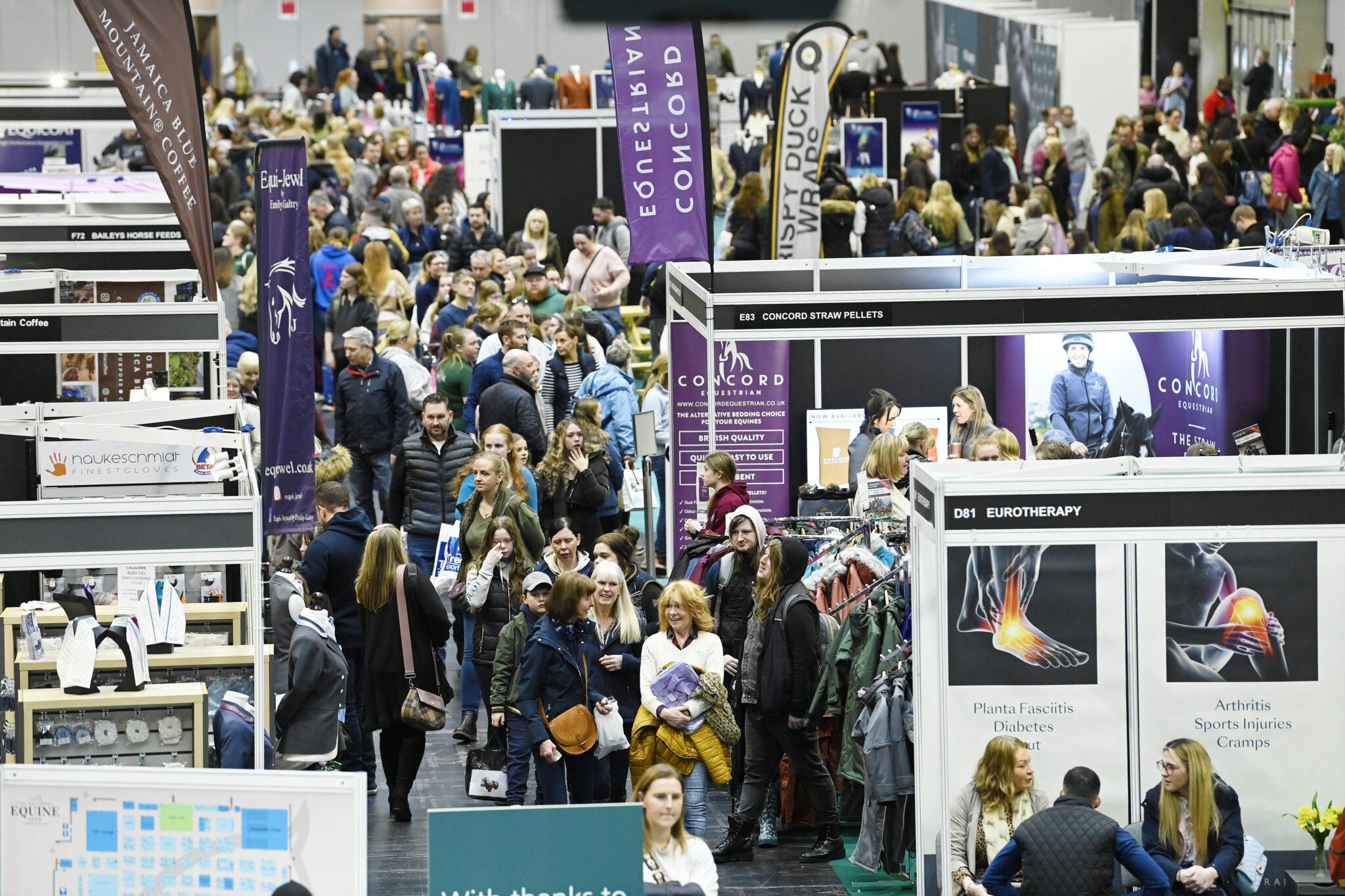 2024 Gallery - National Equine Show