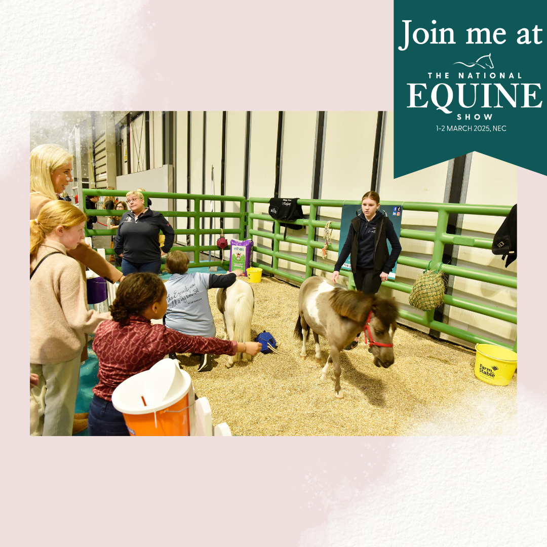 Marketing Materials - National Equine Show