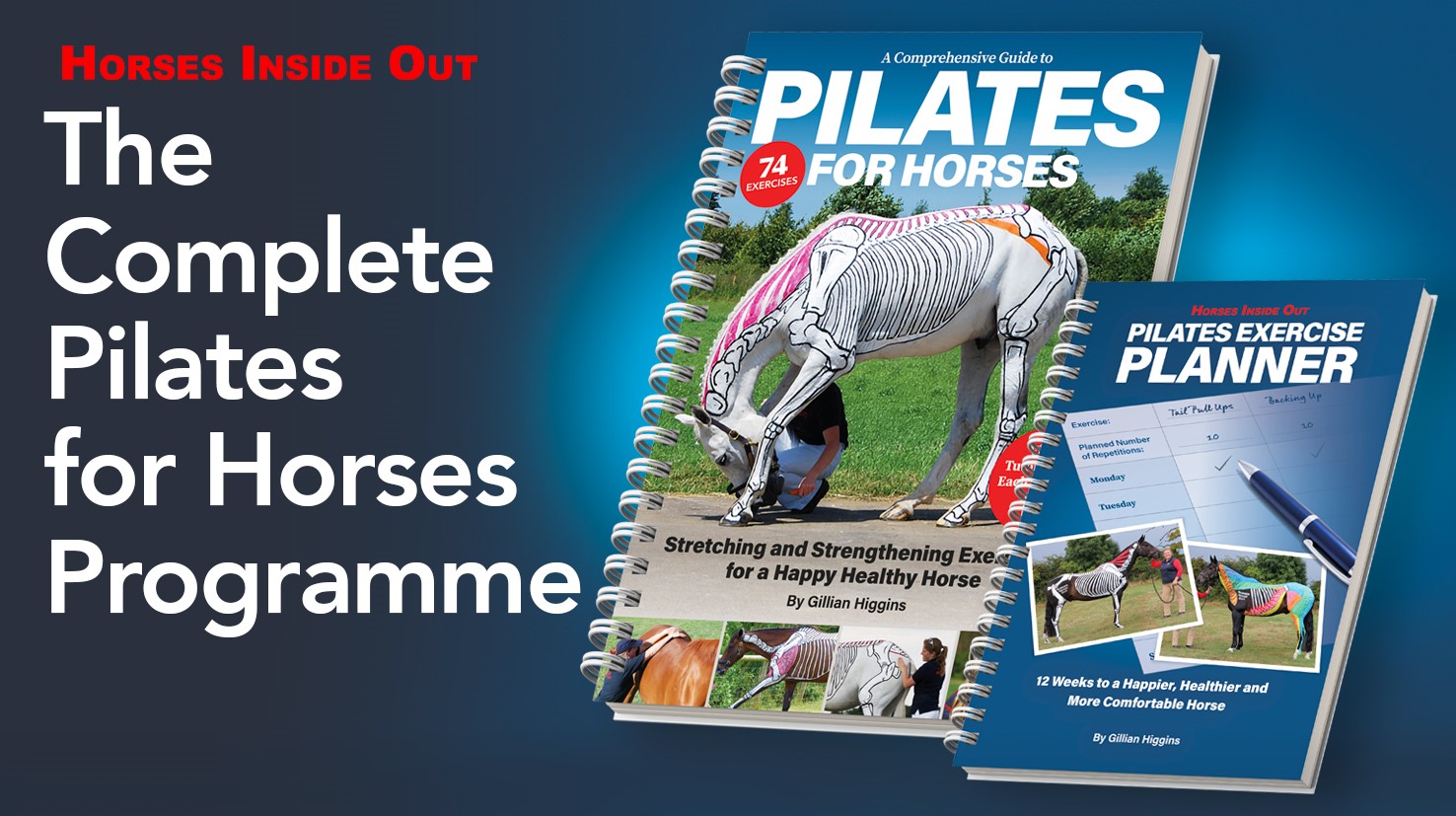 Meet & Greet Gillian Higgins and enter a competition with Horses Inside ...