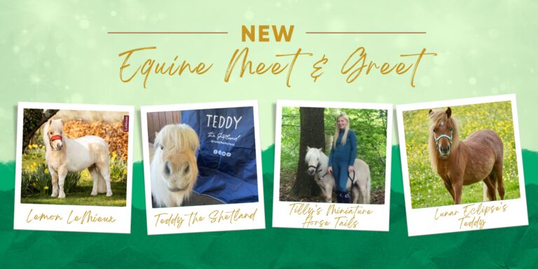 Equine Meet and Greet - National Equine Show