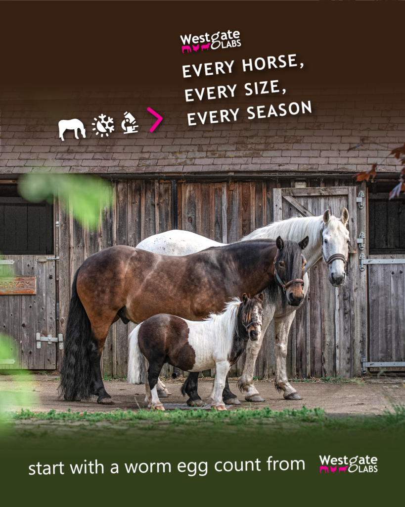 The National Equine Show - 1-2 March 2025, NEC Birmingham