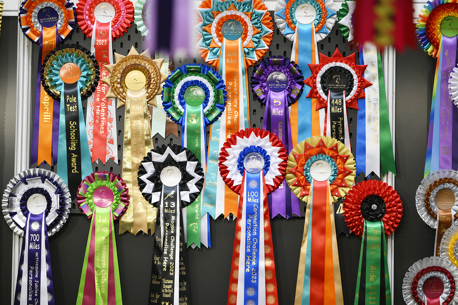 Show Highlights - National Equine Show