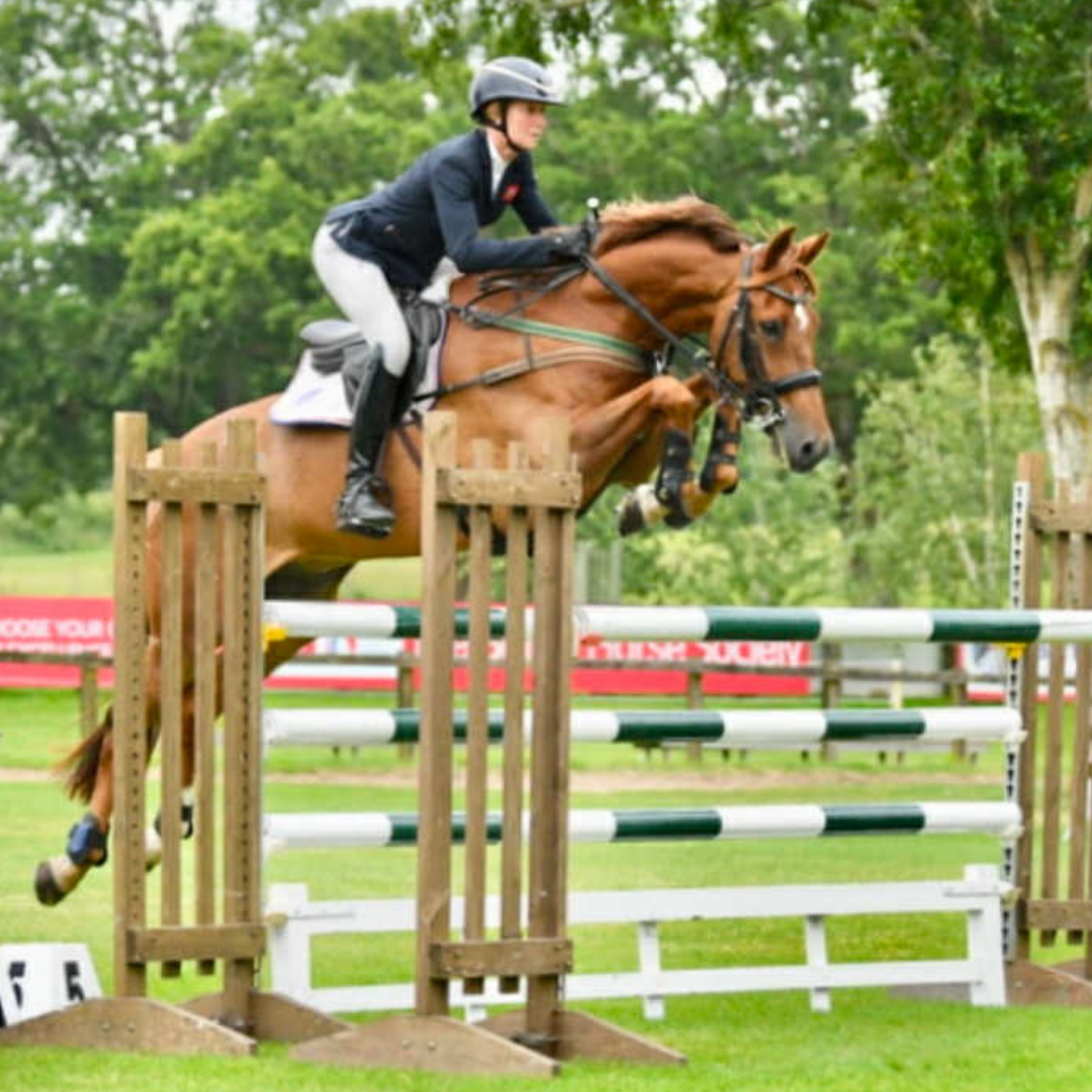 Sharon Hunt - National Equine Show